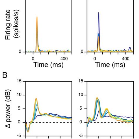 Spike Triggered Average In Time Frequency Domain During Stimulus Download Scientific Diagram