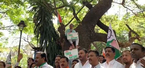 Ncp Led Chipko Movement In Pune Hugging Trees To Save Them From Being Cut River Rejuvenation