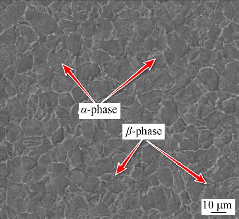 Initial Microstructure Of As Received Material Download Scientific