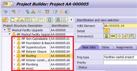 Ipsas Finance Manual