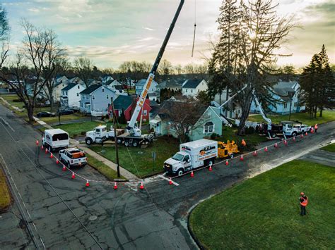 How Much Does Tree Removal Cost K J Tree Service