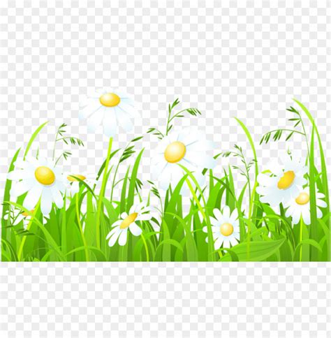 Flower Png Images Free Png Vector Graphics Effects 42 Off
