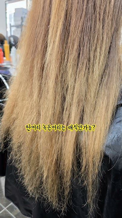 탄머리복구펌 모발재생 극손상모발 헤어클리닉 탄머리교육 헤어복구전문 머리복구 헤어살리기 울산미용실 미용실추천 극손상헤어복구 복구전문샵 공주짱헤어샵 박다리미원장 Youtube