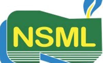 NSML Launches Clean Waterways Initiative To Tackle Plastic Pollution Business Journal