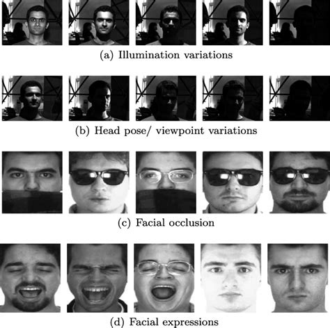 Representative Challenges In Recognizing Face A Illumination Download Scientific Diagram