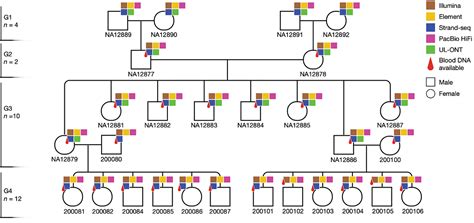 Human De Novo Mutation Rates From A Four Generation Pedigree Reference Human De Novo Mutation Rates From A Four Generation Pedigree Reference