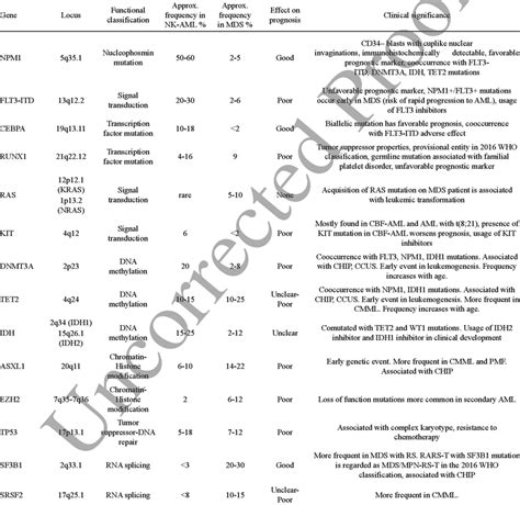 Common Gene Mutations In Aml Mds And Their Clinical Significance