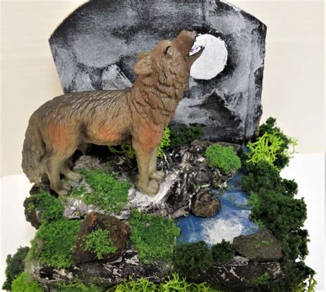 Gray Wolf Habitat Diorama
