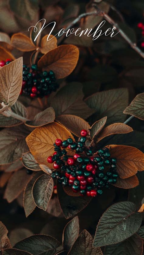 Download Capture The Magic Of Fall With Aesthetic November Wallpaper