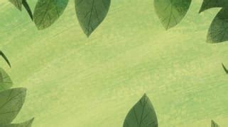 Summer Grass Green Leaves Border Powerpoint Background For Free Download Slidesdocs