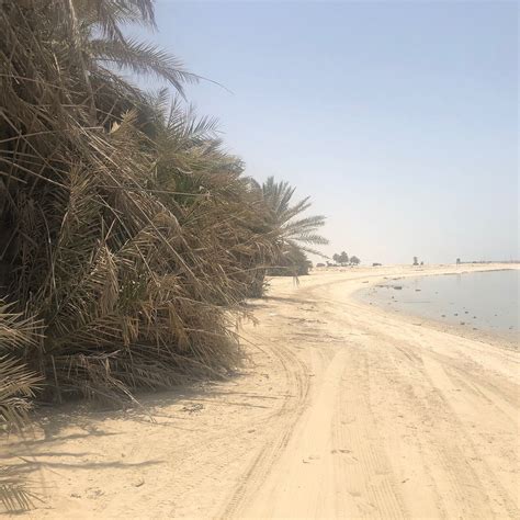 Umm Bab Beach All You Must Know Before You Go 2024