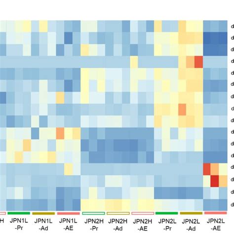 A Heatmap Showing The Result Of Cluster Analysis For Relative Download Scientific Diagram