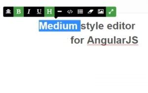 Directives To Extend Your Angular Js Apps Business Technology And Lifestyle Blog