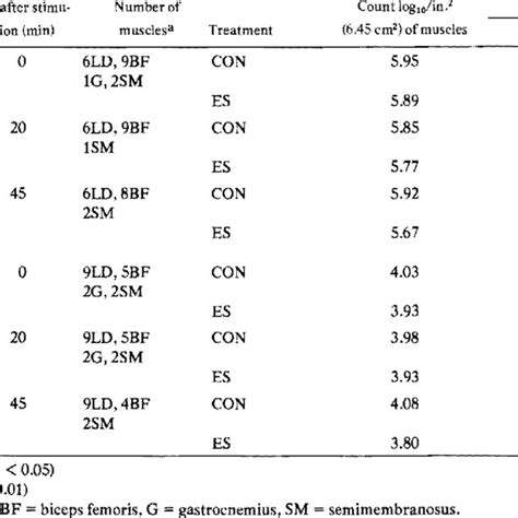 Schematic Presentation Of Preparation Of Samples From Beef Carcasses