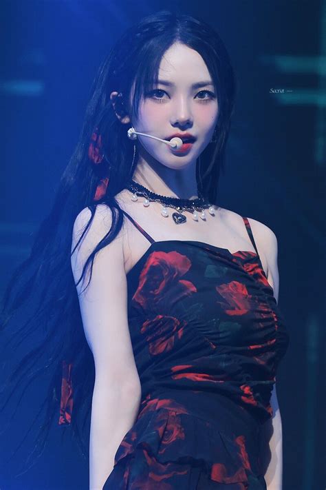 데이터 장미꽃 검정 원피스 카리나 에스파 덕질 Deokjil