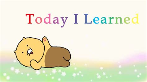 til 2일차 [js node] 기초