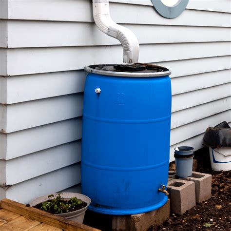 Rainwater Harvesting Barrel
