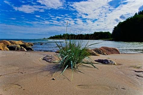 Beach Estonia Baltic Sea - Free photo on Pixabay - Pixabay