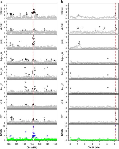 Selection Signature Detected By Dcms In A Chromosome 2 In Human Download Scientific Diagram