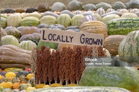 신선한 농산물 사이에 현지에서 재배 된 간판이 있는 파머 스 마켓 건강한 생활방식에 대한 스톡 사진 및 기타 이미지 건강한 생활방식 건강한 식생활 곡초류 Istock