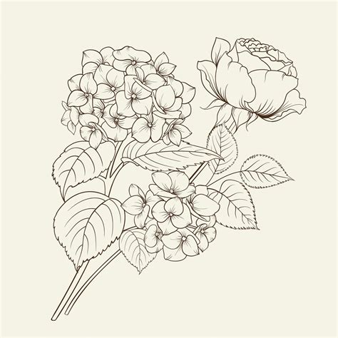 수국과 장미의 꽃 화환 무료 벡터