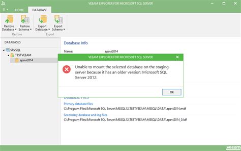 Veeam Explorer Sql Unable To Mount The Selected Database On The