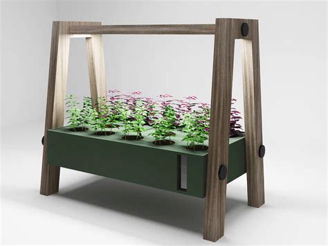 მინდორი • Mindoori