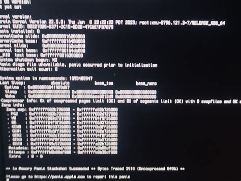 Kernel Panic R Hackintosh
