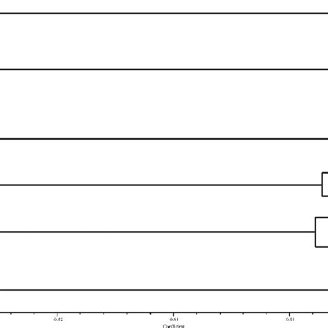 Dendrogram Showing The Clustering Pattern Of 30 Accessions Of 6 Species