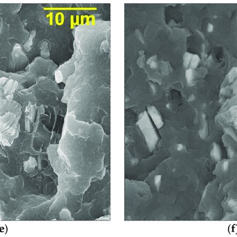 Sem Images Using Primary Electrons Left And Secondary Electrons Download Scientific Diagram