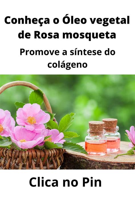 Conheça O Óleo Vegetal De Rosa Mosqueta Plants Garden