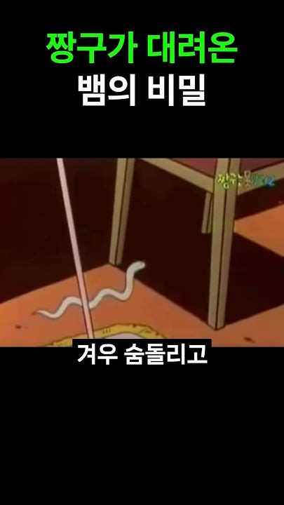 짱구가 대려온 뱀의 비밀 웃긴영상 Youtube