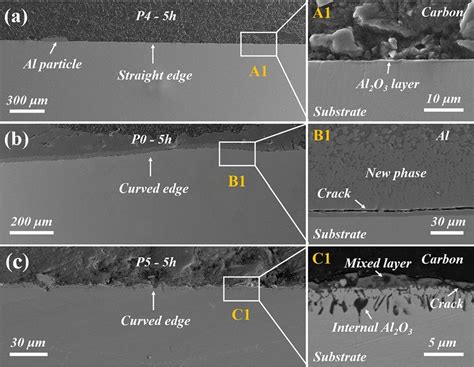 The Cross Sectional Morphologies Of Specimens Oxidized By Processes Of