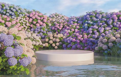 수국 꽃밭이 있는 제품 전시를 위한 자연의 아름다움 연단 배경 3차원 형태에 대한 스톡 사진 및 기타 이미지 3차원 형태 강 강단 Istock