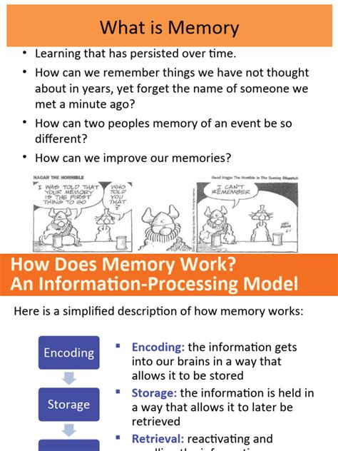 Memory Ppt Pdf Memory Recall Memory