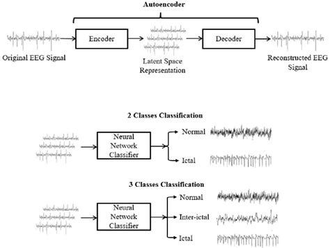 Figure 1 From Epileptic Seizure Detection Using Deep Convolutional Autoencoder Semantic Scholar