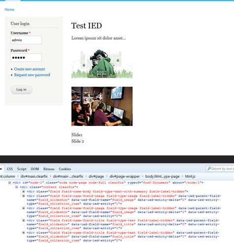 Inline Entity Display
