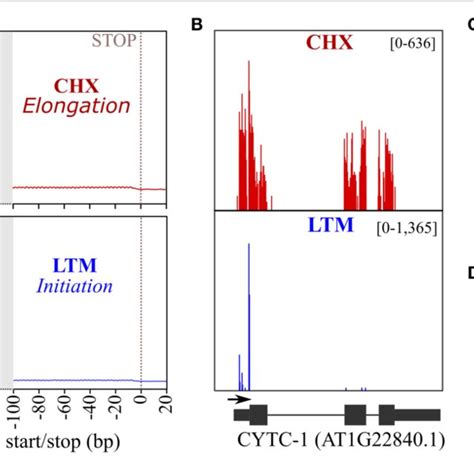 Ribosome Sequencing Ribo Seq Translation Initiation Site Tis Download Scientific Diagram