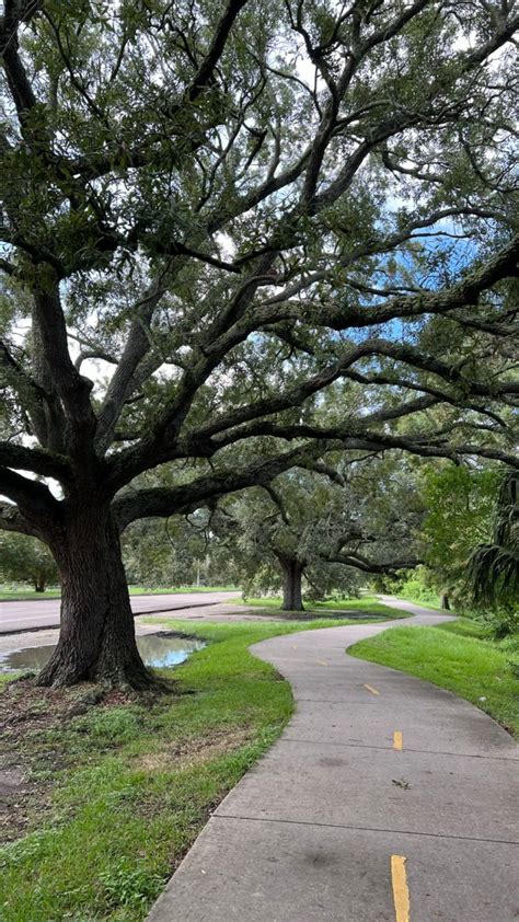 미국 석 달 살기 미국 환상일주 기차여행 13 일차 뉴올리언스 자전거로 한바퀴 네이버 블로그