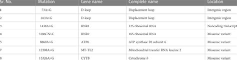 common mitochondrial dna mutations identified in the coding and download scientific diagram