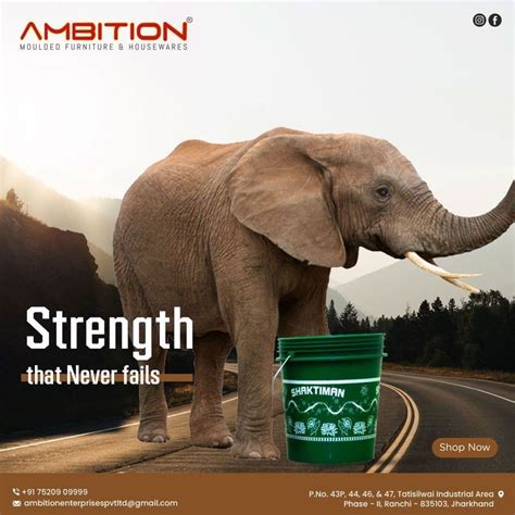 Marketing Ads Sovial Media Ads Marketing Motion Elephant