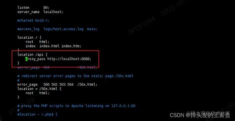 如何将你的前端页面部署到服务器上Linux安装Nginx 第一步打包前端文件 在使用Nginx部署前端应用程序之前 掘金