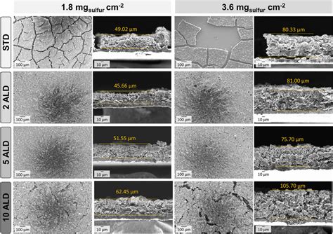 Top View Sem Images And Cross Sections Of Standard Uncoated Std
