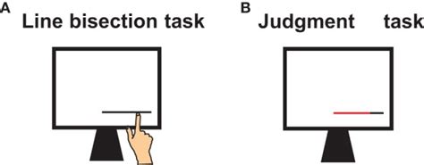 line bisection test printable line bisection test the patient must estimate the midpoint