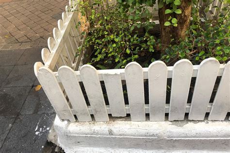 How To Fence Around A Tree Simple And Effective Steps