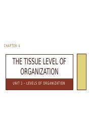 Chapter The Tissue Level Of Organization Pptx CHAPTER THE TISSUE LEVEL OF ORGANIZATION U