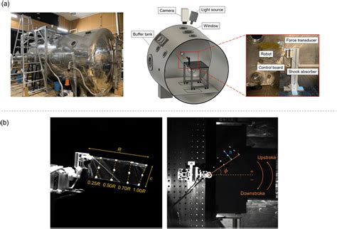 A Overview Of Buffer Tank And System Of Simultaneous Measurement B Download Scientific