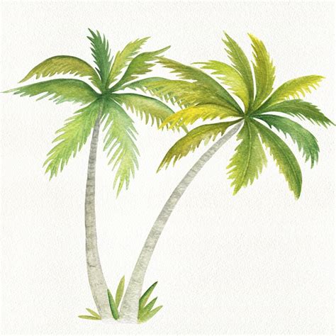 Palm Tree Clipart Watercolor Clip Art Double Palm Tree Summer Etsy