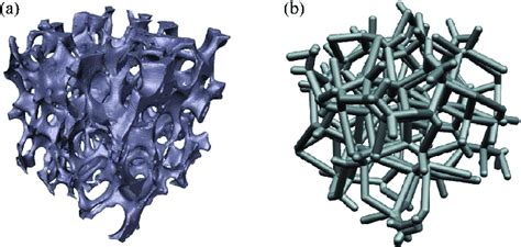 A Ceramic Foam Reconstructed Through The Xct 25 B The Stochastic