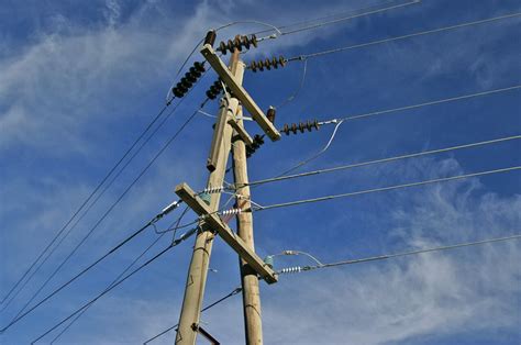 전봇대에 회오리 감자도 아니고 주판알도 아니고…근데 그거 뭐지 [그거사전]